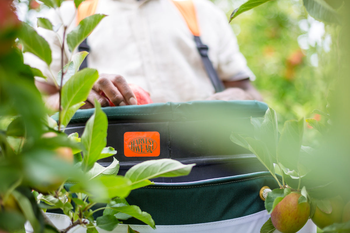Apple Picking Bags by Harvestwear | Trusted Worldwide – Harvestwear NZ
